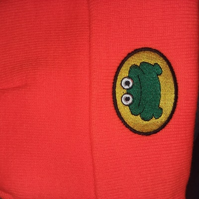 Embroidered Parappa the Rapper Beanie Frog Knit Cuffed Beanie - Etsy