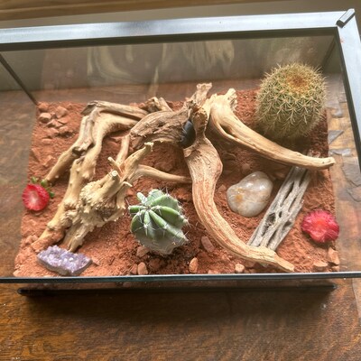 Crystal Moon Tree of Life Window Suncatcher, Home Decor, Gift for Her ...