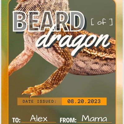 Football Ticket Template, Football Gift Certificate, Editable NFL Game ...