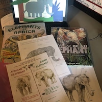 ELEPHANT Unit Study MINI Printable Bundle Anatomy, Diagram, Cards ...