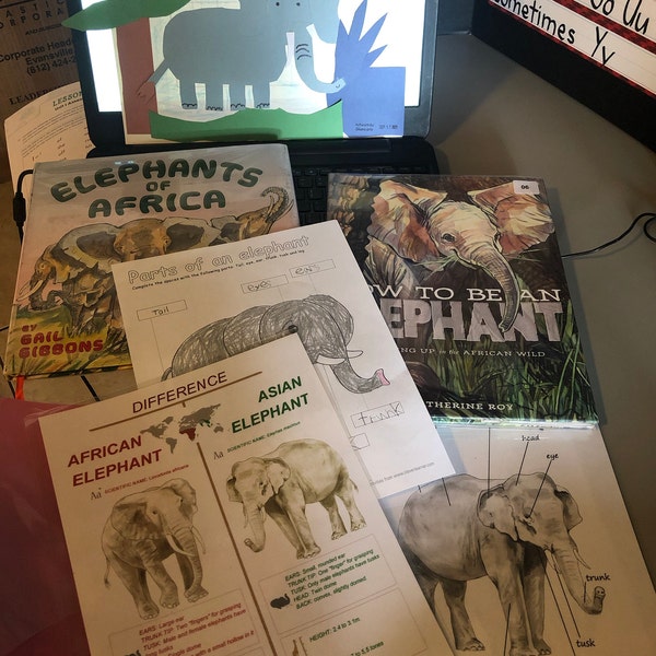 EDITABLE Hopscotch: Sensory Path With WORDS & NUMBERS, Printable Floor ...