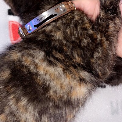 Leather Cat Collar With Name, Personalized Cat Collar, Engraved Custom ...