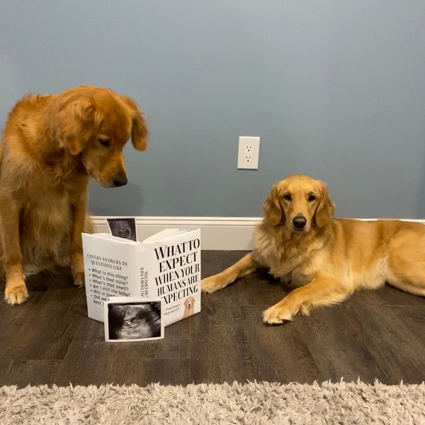 INSTANT DOWNLOAD What to Expect When Your Humans Are Expecting Fake ...