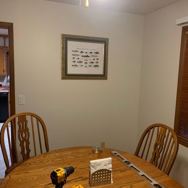 Michigan Freshwater Fish Field Guide Art Print / Fish Nature Study ...