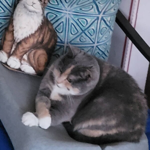 Simenson Pottery Handmade Small Jug Pitcher Creamer Signed - Etsy