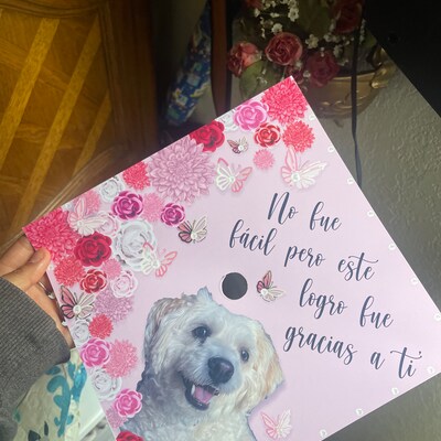 Personalized Film Student Graduation Cap Topper, Funny Grad Cap Topper ...