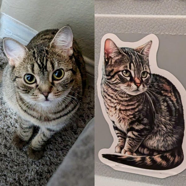 Siamese Cat, Crazy Cat Lady, Siamese Cat Sticker, Cat Mom, Car Sticker ...