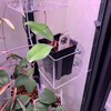 Window Planter Suction Cup 3 Inch Cube Style- Planter That Attaches to ...