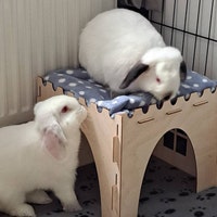 Wooden Rabbit Tunnel - Etsy UK