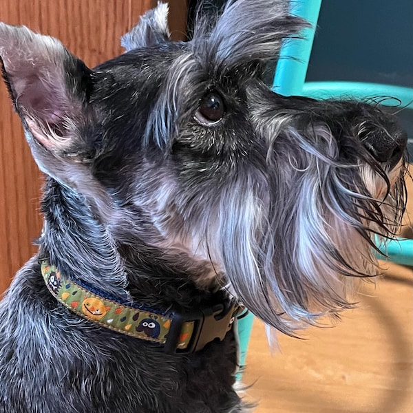 Chili Peppers Ribbon Dog Collar - Etsy