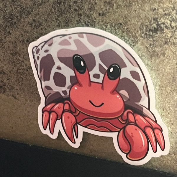 Hermit Crab Sticker | Cute Cartoon Animal Stickers | Waterproof, Vinyl ...