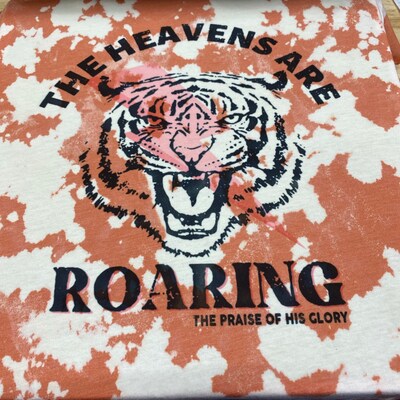 The Heavens Are Roaring the Praise of His Glory-tiger Pink Flash Png ...