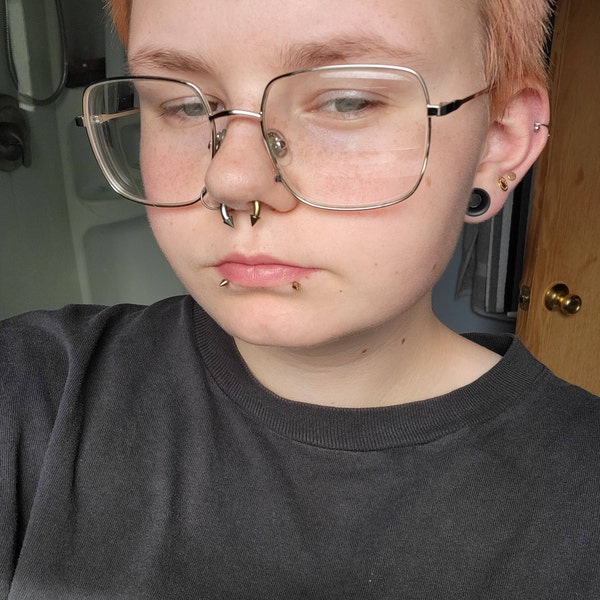 HALF GOLD / SILVER (4G, 5G, 6G, 7G, 8G, 10G, or 12G) Anodized Astm F136 ...