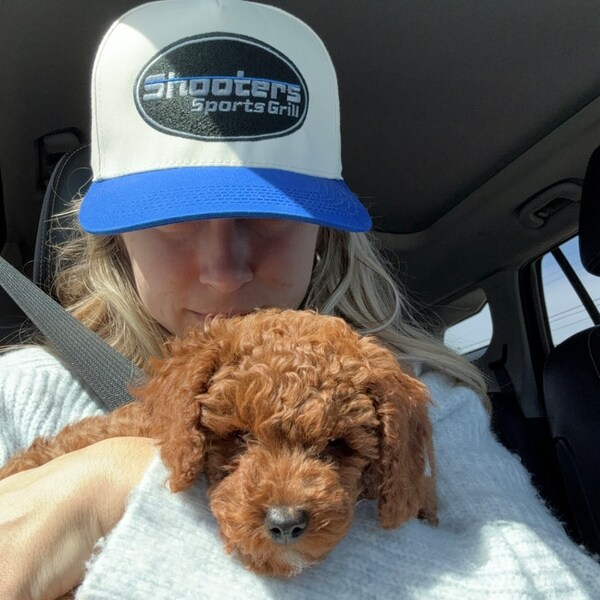 Pink Panther Hat, Otto High Quality Hat Snapback Panther Belico Chapiza ...