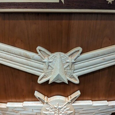 U.S. Navy Fleet Marine Force FMF Plaque Dish 14 Cutout-17 Wide Approx ...