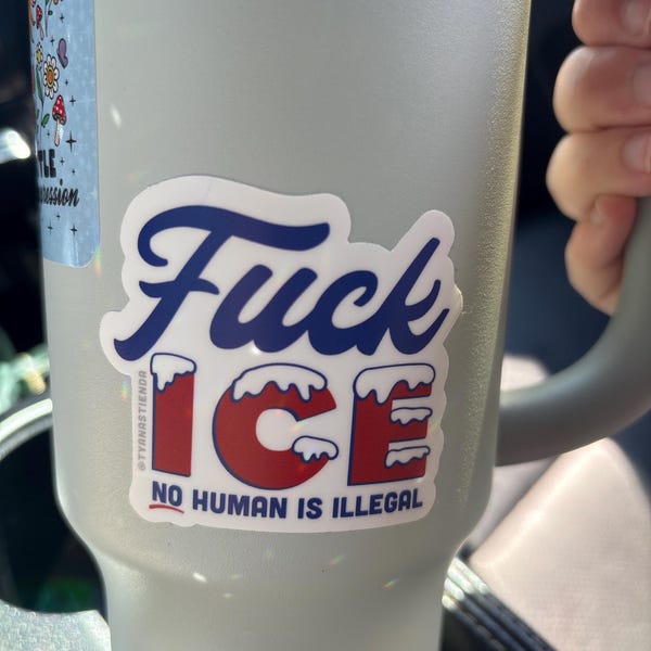 Fuck ICE Sticker / Abolish ICE Sticker / 20% Profits Donated / No Human is Illegal / Activism ...