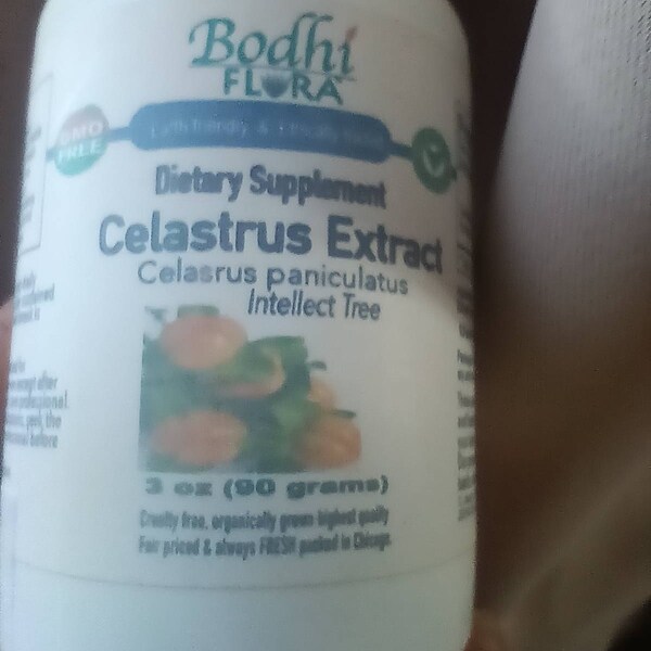 Mexican Tarragon | Tagetes Lucida | Marigold | Yauhtli -100% Pure ...