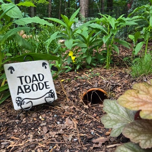 Toad Abode Funny Garden Sign Toad House Garden Sign Cute Gift for ...
