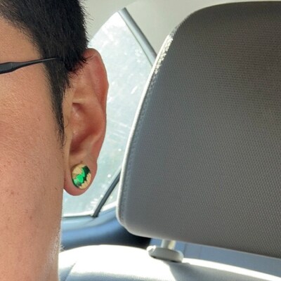 Pair of Unique Natural Plugs, Gauges 00, Plugs and Tunnels, 00 Gauges ...