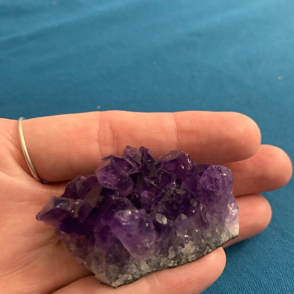 Tree of Life Polished Shungite Pendant - Necklace for EMF Shielding, 5G ...