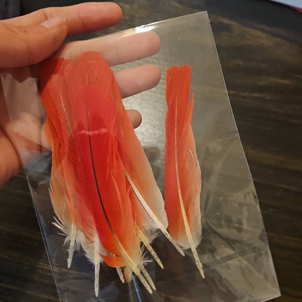 Agogo Bell, Campana De Obatala, Lucimi, Agogo Orisha, Campana De Orisha ...