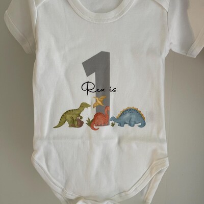 Personalised First Birthday Classic Winnie Pooh Pink Romper/vest I Am ...
