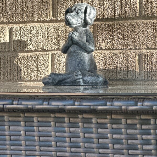 Chilled and Relaxed Toad Concrete Statue - Home or Garden Decor, Cement ...