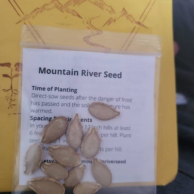 Snapdragon Tall Spur Mix Seeds deluxe Tall Mixed Colors Heirloom - Etsy