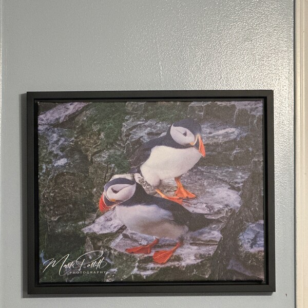 Inside the Weeping Willow Tree - Instant Download Includes 5 File Sizes ...