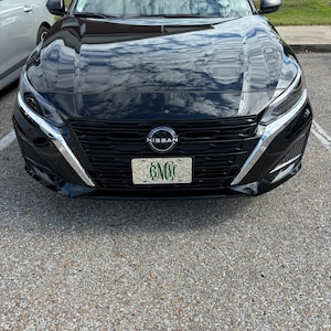 Custom Mirror bronze License Plate, Car Tag, Personalized Car Tag ...