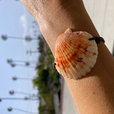 Coquina Shell Butterfly Necklace, Shell Necklace, Butterfly Necklace ...