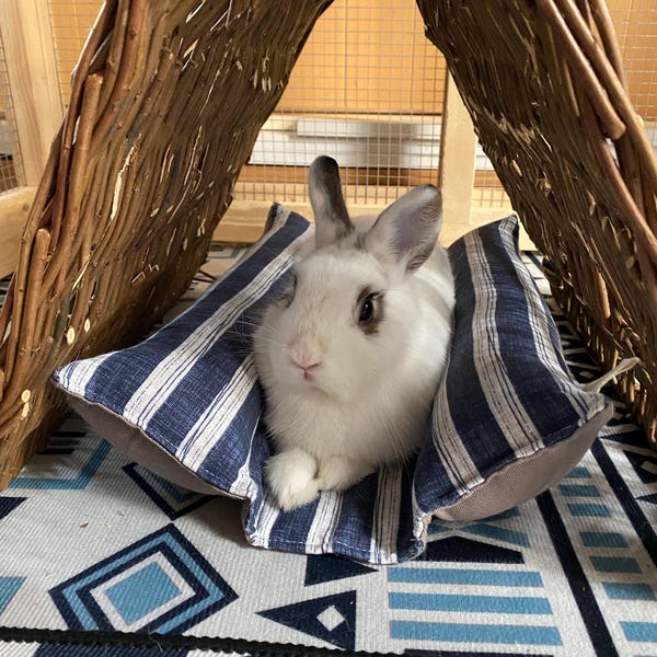 Discounted MYSTERY Classic Hop N' Flop® | Snuggle Burrow Flop Bed for ...