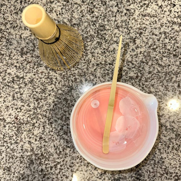 Hand Painted Cute Capybara Matcha Gift Set Matcha Bowl With Bamboo ...