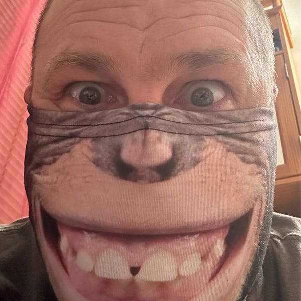 Blue and Yellow Macaw Parrot Face Mask, Neck Gaiter, Washable Reusable ...