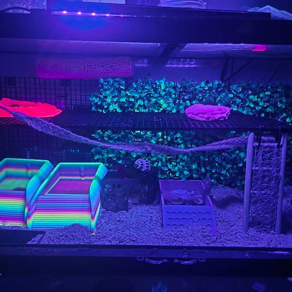 V6 Engine Ice Block | 3D Printed | Can Cooler - 6 Can + Ice Cooler ...