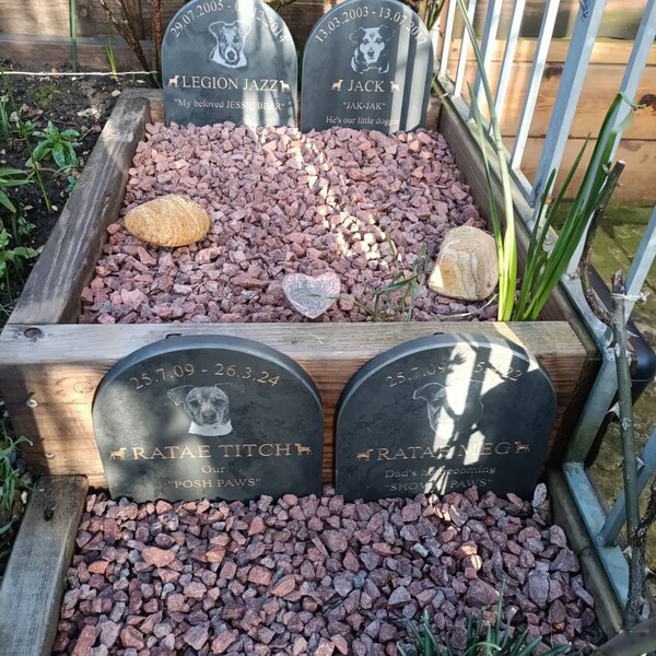 Portrait Hanging Sign - "please Do Not Disturb" - Etsy