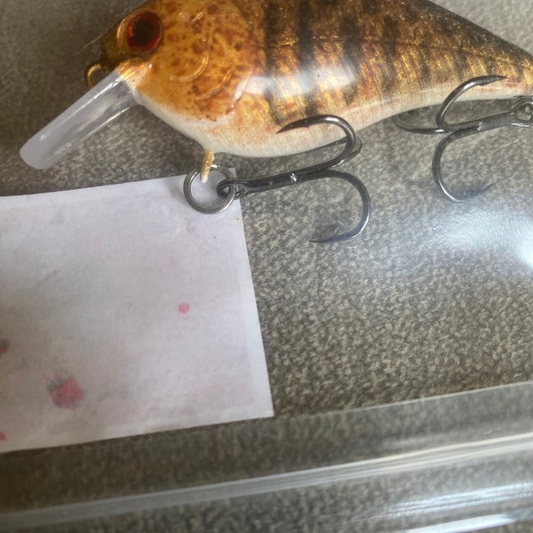 Custom Painted Wiggle Wart, Green Sunfish - Etsy