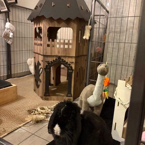 Large Wizard Rabbit Tower: A Magical Nest | Medieval Design Bunny ...