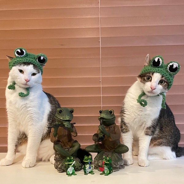 Frog Hat for Cats, Funny Feline Frog Accessory / Costume, Frog Hat With ...