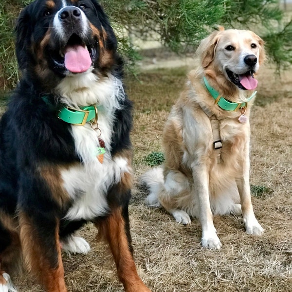 Braided Biothane Paracord Collar | Mothersday Gift| Durable Handmade ...