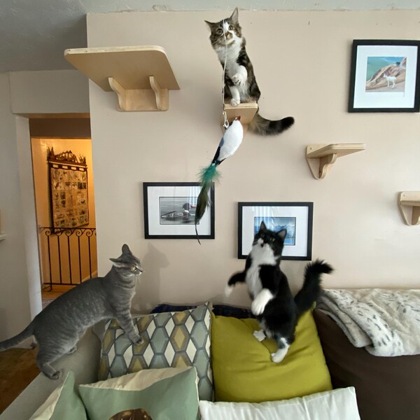 VHS Floating Shelf Wall Mount VHS Display Stand VHS Collection Display ...