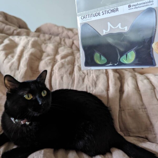 Grey Tabby Cat Peeker Vinyl Sticker 3D Motion/animated | Cats Stickers ...