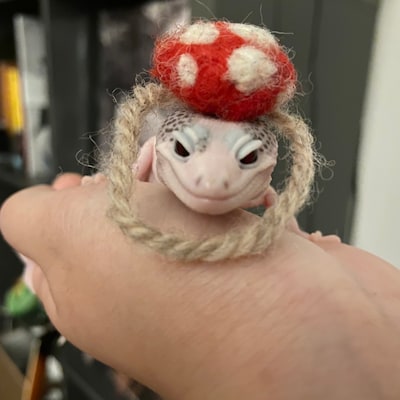Leopard Gecko and Other Lizard Hats - Etsy