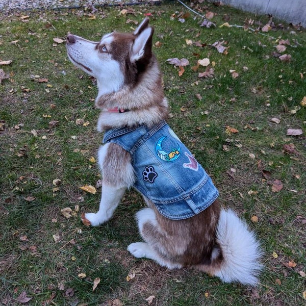 Dog Denim Jacket, Custom Dog Denim Vest, Personalized Dog Jean Jacket ...