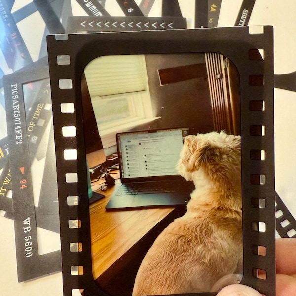 Retro Film Frame Sticker, Vintage Camera Film Roll Sticker, Film Strip ...