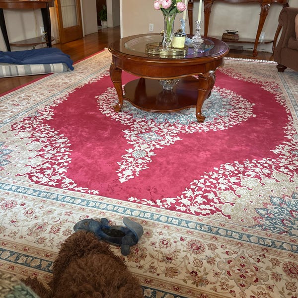 5x8 Ft Beige Red Bamboo Silk Rug, Silk Carpet, Luxury Silk Rug, Silk ...