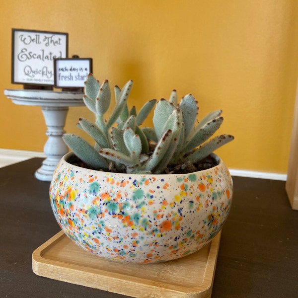 Succulent Planter / Azalea Pot / Ceramic Succulent Pot / Ceramic Flower ...