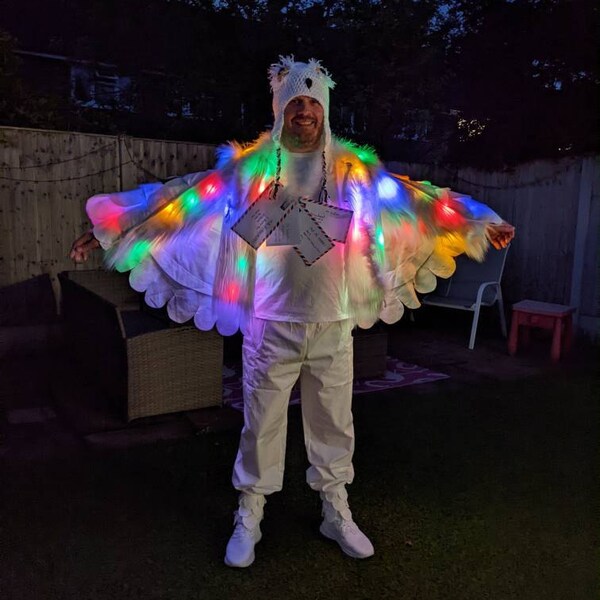 Snowy Owl Costume Wings: Felt Bird Wings - Kids & Adult Sizes - Etsy