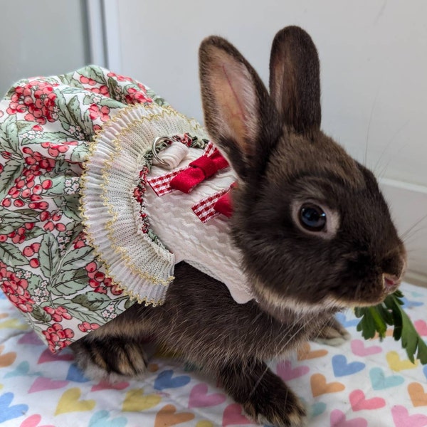 White Bunny in Blue Short Dress, Pet Bunny Dress/harness, Rabbit ...