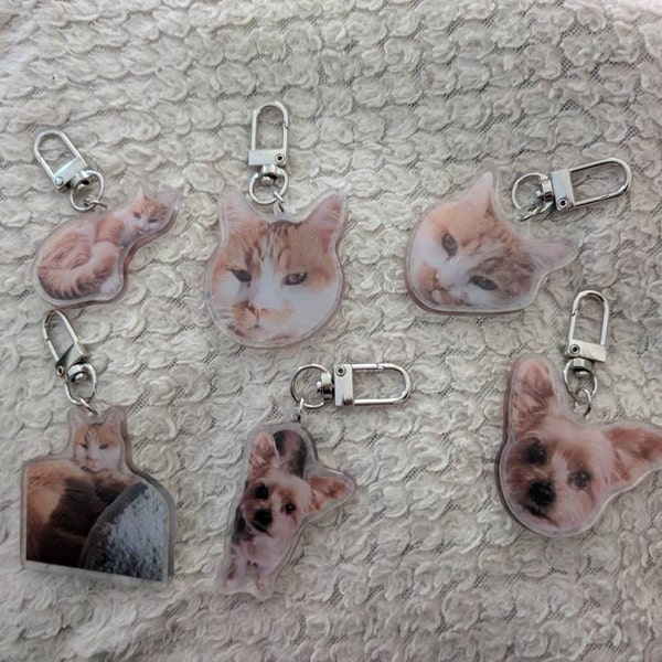 Custom Cat Keychain, Dog Keychain, Pet Keychain, Personalized Pet Photo ...